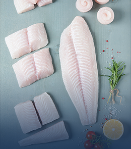 NOT JUST PANGASIUS. PREMIUM PANGASIUS - VHC