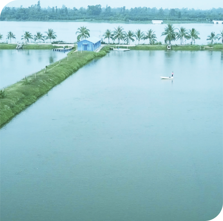 In Pond Raceway System (IPRS) Project - VHC