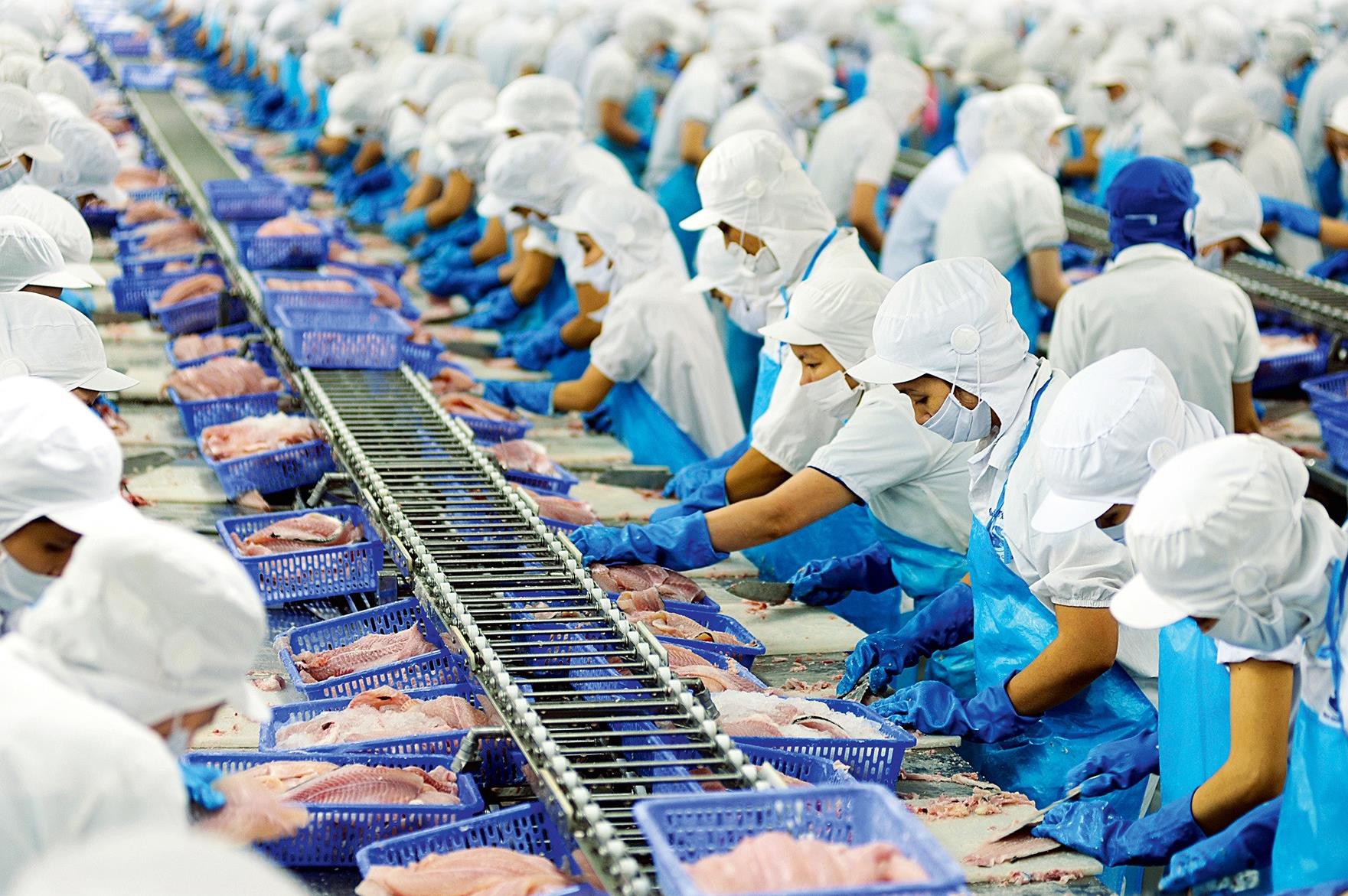 IntraFish - Can pangasius fill the whitefish void in wake of Russian ...