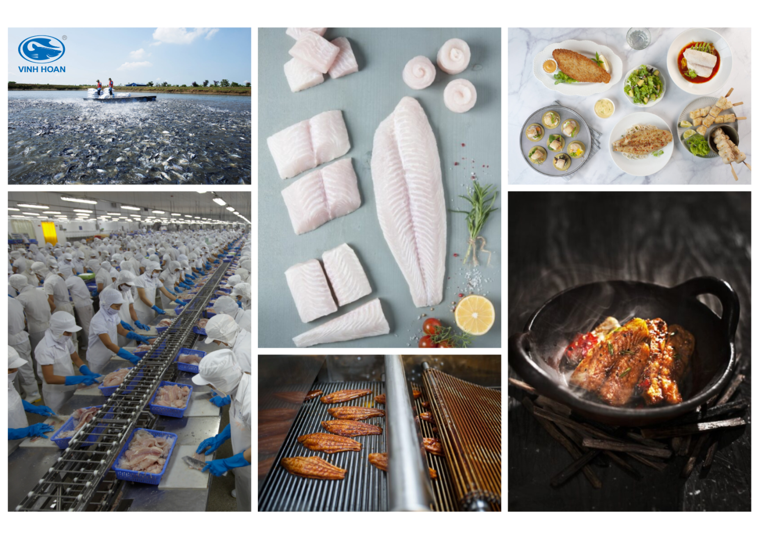 Why is freshwater fish becoming a consumer trend? - VHC